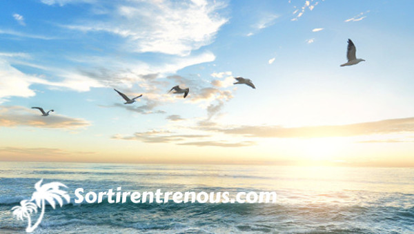 Sortirentrenous des sorties et de belles rencontres. Comment se faire ...